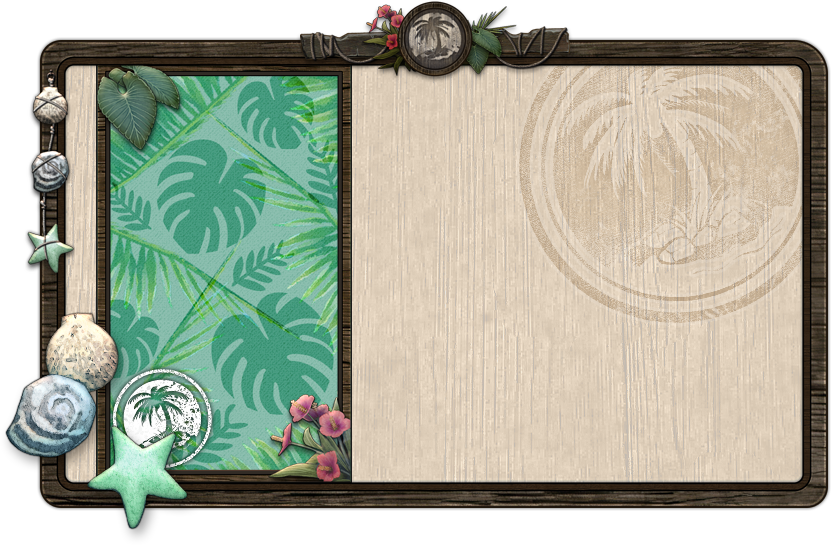 Island Vacation - FFXIV Collect