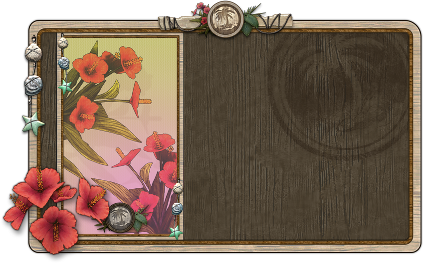 Island Memories - FFXIV Collect